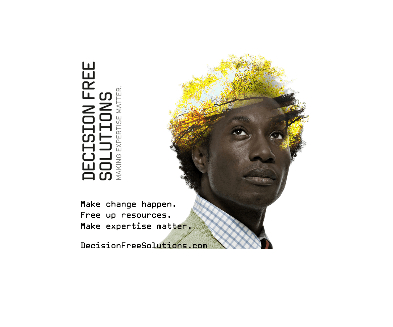 The Four Steps of DICE that will Change the World — Decision Free Solutions